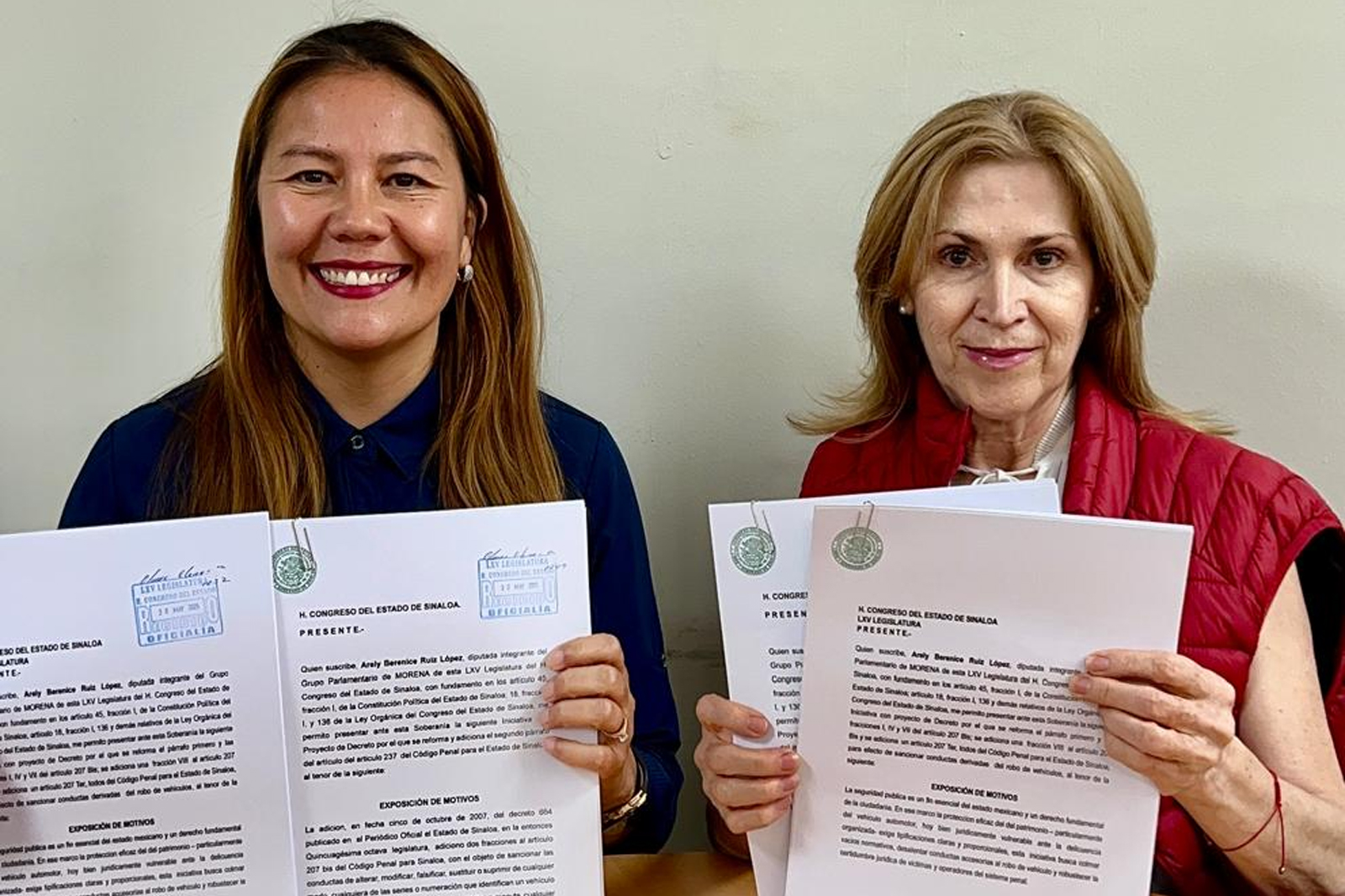 Propone diputada Arely Ruiz perseguir de oficio la posesión y ...